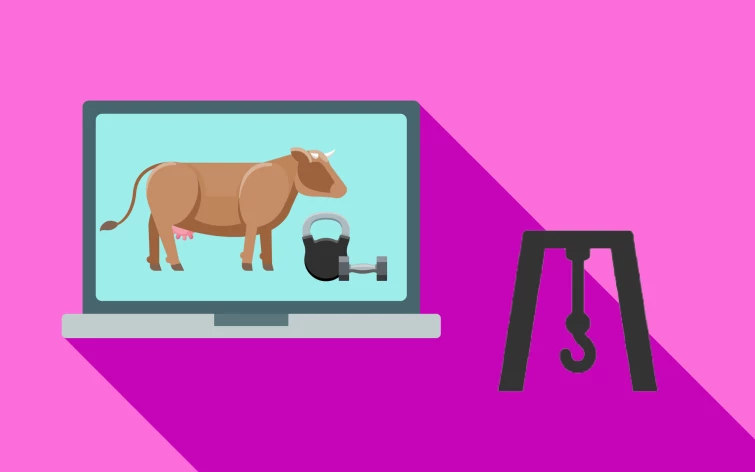 Animated Deployment with Ansistrano Video Tutorial Screencast | SymfonyCasts